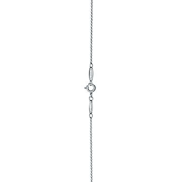 Tiffany y necklace store