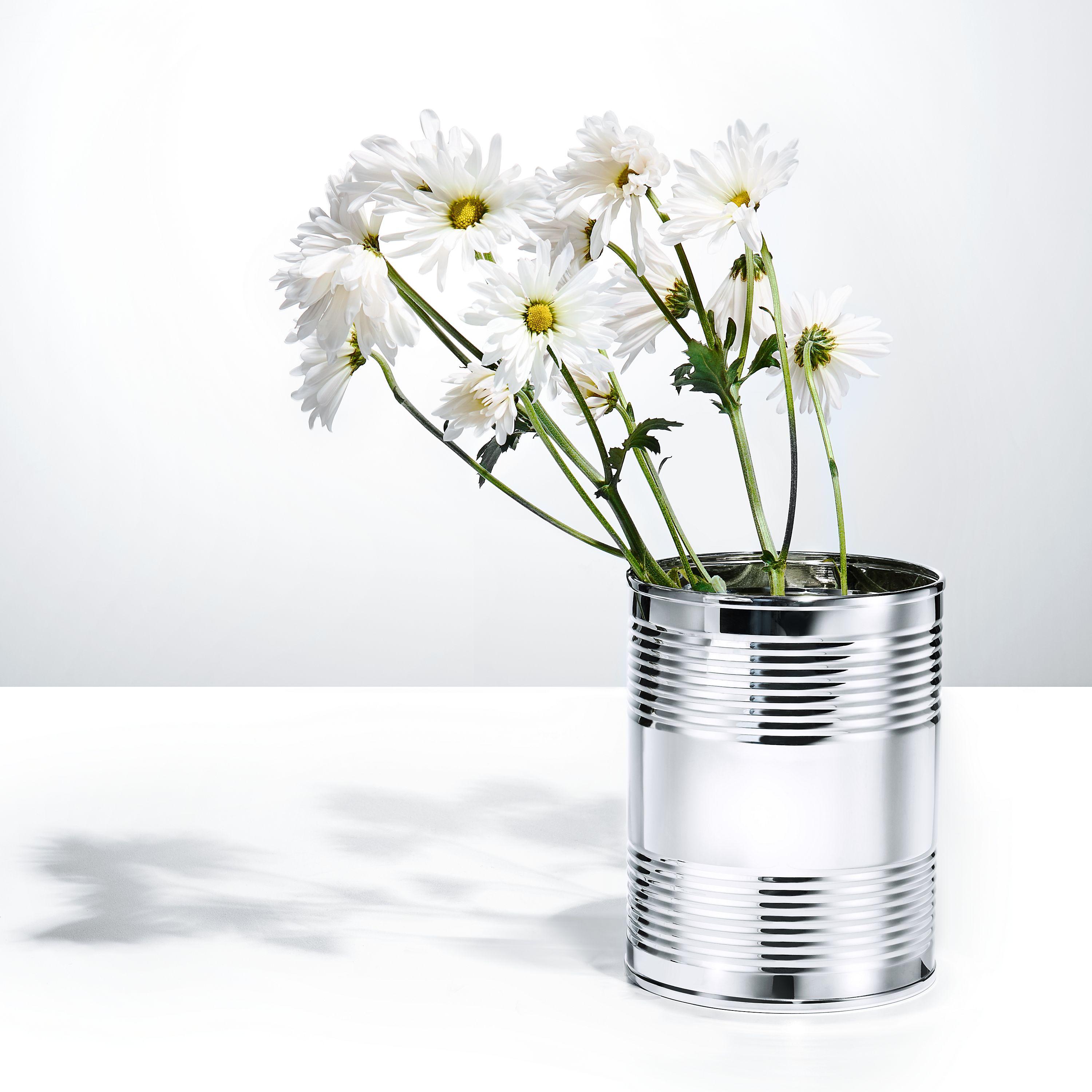 Zatista.ca Regular Stuff, Made Fancy - Zatista.ca