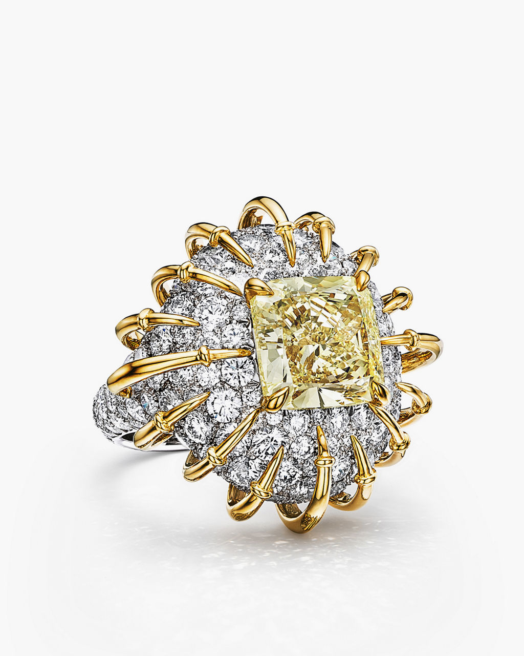 2024 블루 북: 아폴로