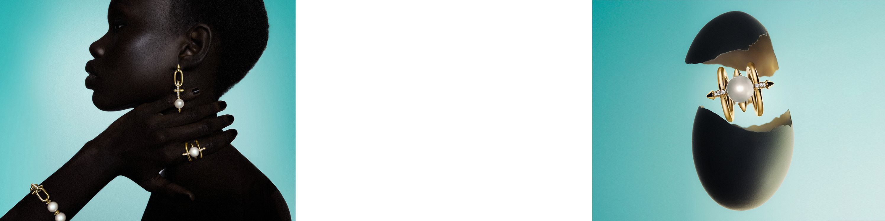 Tiffany Titan by Pharrell Williams | Tiffany & Co. CA