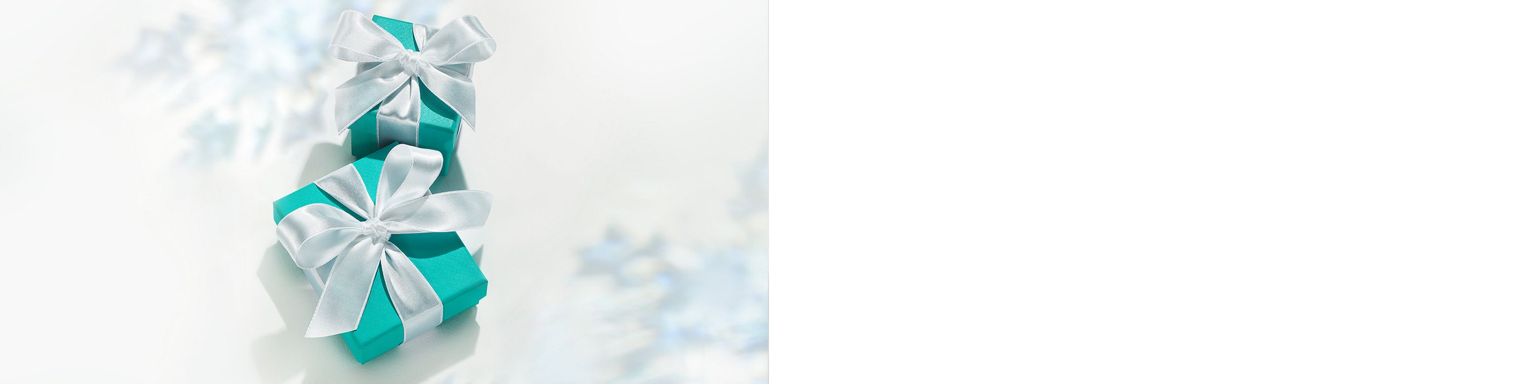 Online Exclusive | Tiffany & Co. CA