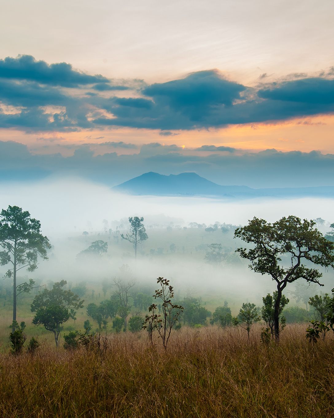 Minería de diamantes responsable y sustentabilidad | Tiffany & Co.